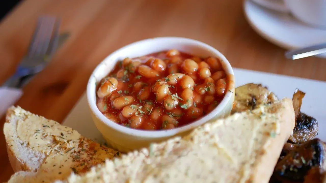 Can Dogs Eat Baked Beans? | Hero Pet Health